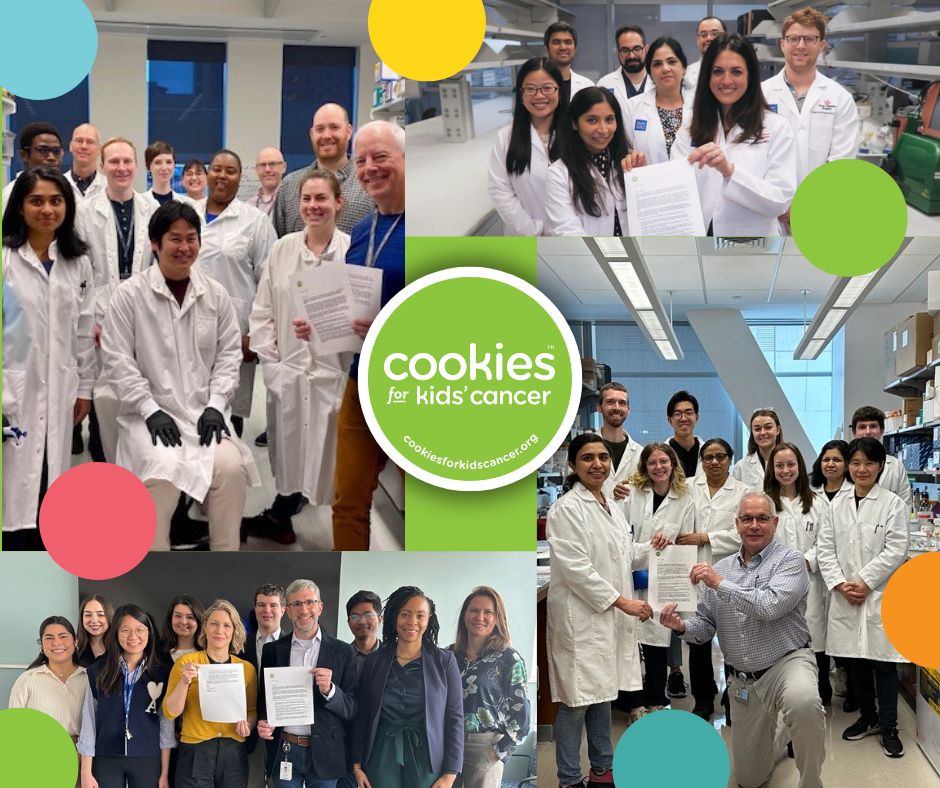 2023 Childhood Cancer Research Grant Recipients – Cookies for Kids' Cancer