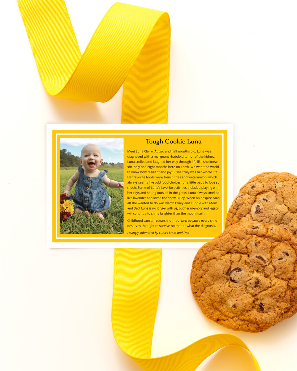 Luna's Little Moon Chocolate Chip Cookies – Cookies for Kids' Cancer